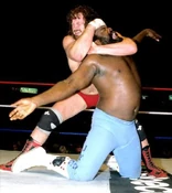 Terry Funk | Dead wrestler database Wiki | Fandom