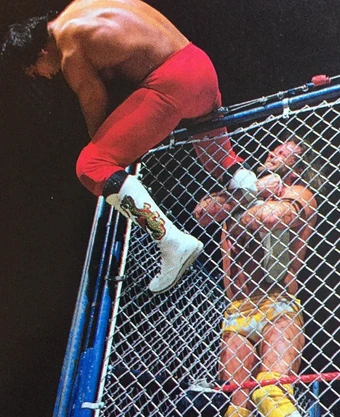Randy Savage Top Rope