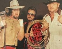 Terry Funk | Dead wrestler database Wiki | Fandom