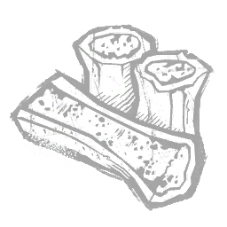 Creature's Bone - Official Dead by Daylight Wiki