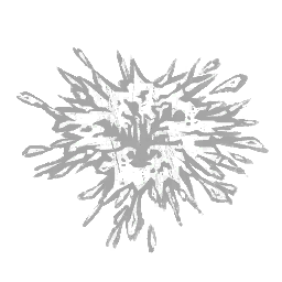 Acidic Blood - Official Dead by Daylight Wiki