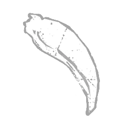 Engineer's Fang - Official Dead by Daylight Wiki