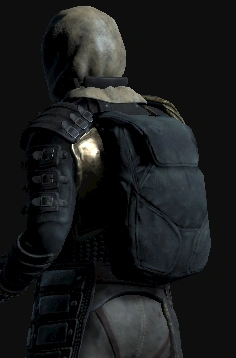 Backpack | Dead Frontier II Wiki | Fandom