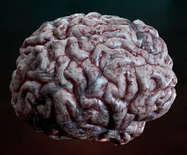 Electrified Brain | Dead Island Wiki | Fandom