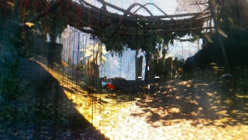 Hook Lost Boys Tree House