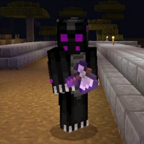 NPC 0011463 | Deadkid SMP Wiki | Fandom
