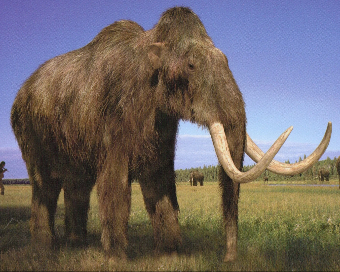 Woolly Mammoth Compared To Elephant Size