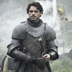 Robb Stark Armor