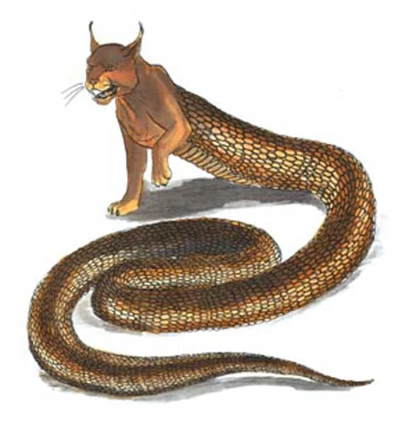 Tatzelwurm | Deadliest Fiction Wiki | Fandom