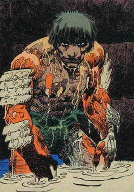 Ronin (DC Comics) | Deadliest Fiction Wiki | Fandom