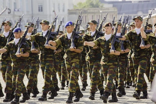 Belgian Armed Forces | Deadliest Fiction Wiki | Fandom