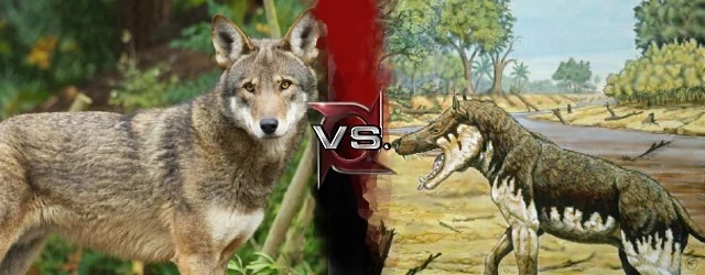 User blog:Tybaltcapulet/Eras and Epochs: A Season through Geologic Time ...