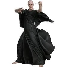 Lord Voldemort Full Body