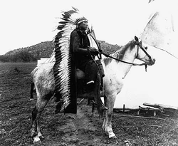User blog:Laquearius/Comanche Warrior vs Cuirassier | Deadliest Fiction ...
