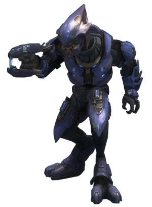 User blog:SPARTAN 119/Sangheili (Halo) vs Poleepkwa/"Prawns" (District ...