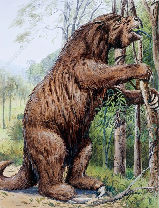 Megatherium | Deadliest Fiction Wiki | Fandom