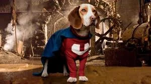 User blog:GSFB/Underdog vs Nemesis | Deadliest Fiction Wiki | Fandom