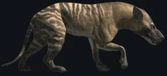 Hyaenodon | Deadliest Fiction Wiki | Fandom