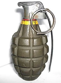 Pineapple Bomb | Deadliest Warrior Wiki | Fandom