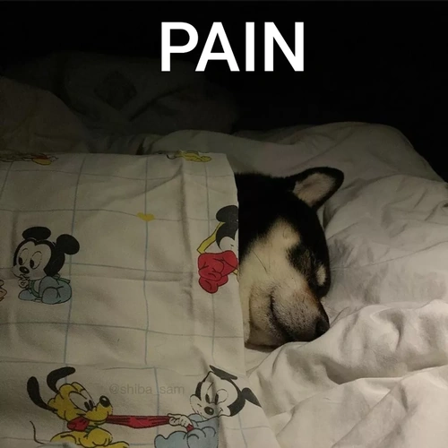 NPO Bazalt RPG-7 | Deadline Roblox Wiki | Fandom