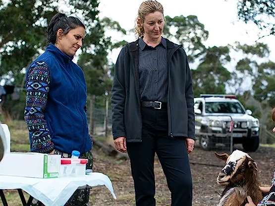 Episode 4 | Deadloch Wiki | Fandom