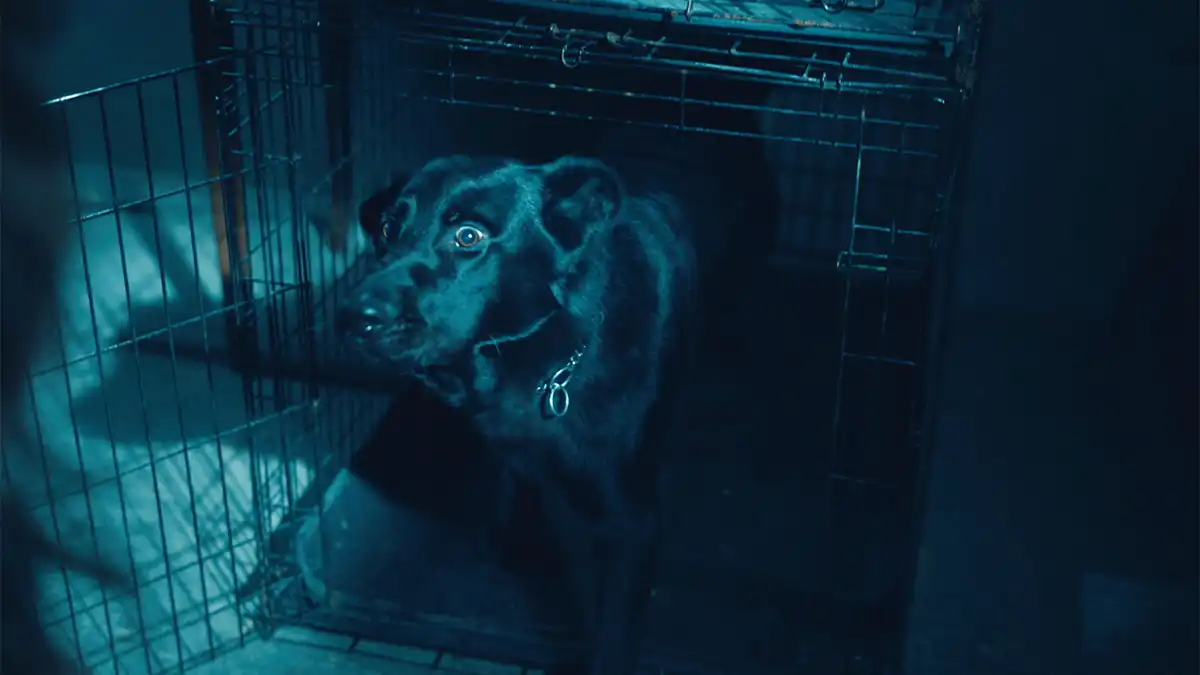 Peppermint | Deadly Class Wiki | Fandom