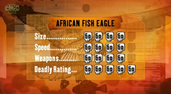 African Fish Eagle | Deadly 60 Wiki | Fandom