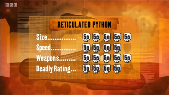 Reticulated python | Deadly 60 Wiki | Fandom