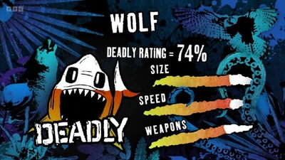 Wolf | Deadly 60 Wiki | Fandom