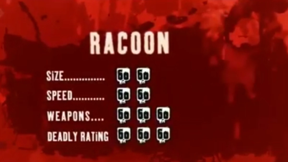 Racoon | Deadly 60 Wiki | Fandom