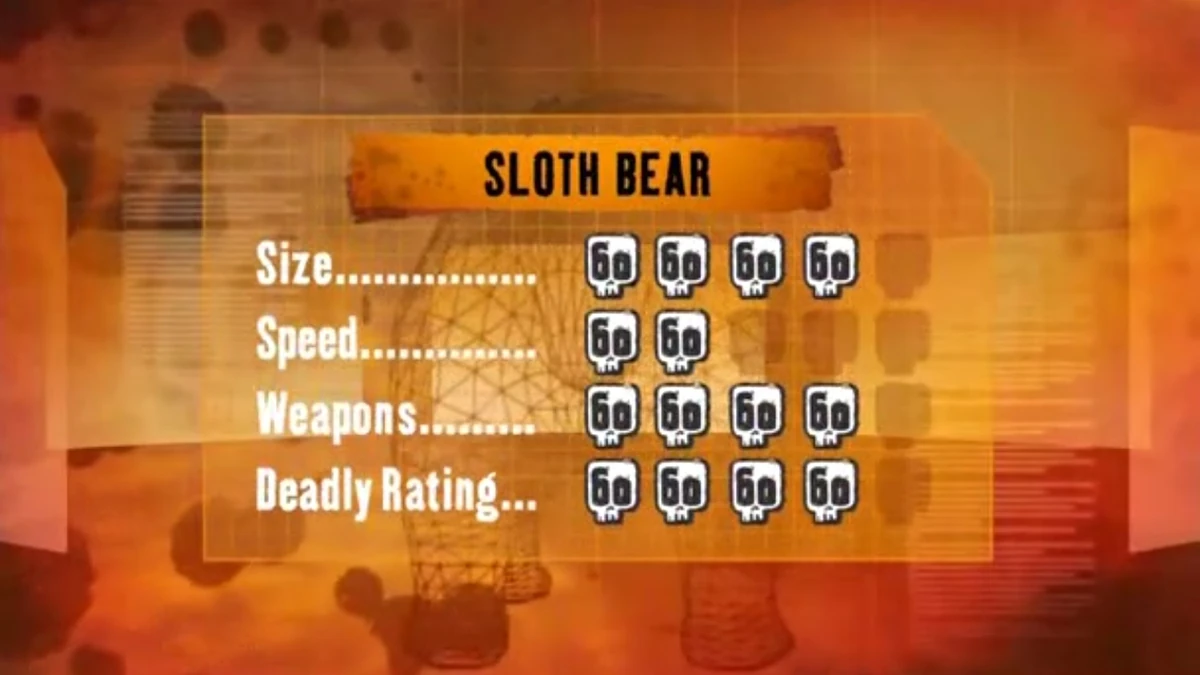 Sloth bear | Deadly 60 Wiki | Fandom