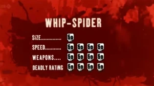 Whip spider | Deadly 60 Wiki | Fandom