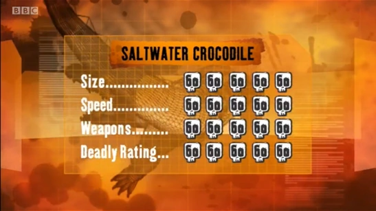 Saltwater crocodile | Deadly 60 Wiki | Fandom