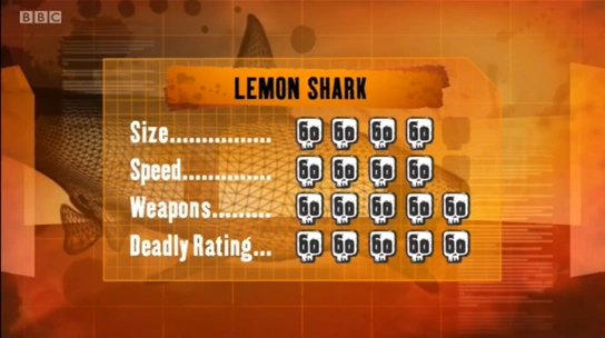 Lemon Shark | Deadly 60 Wiki | Fandom