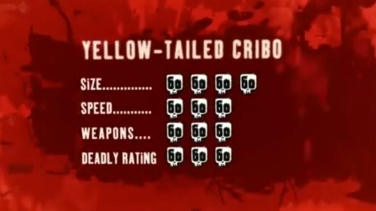 Yellow-tailed cribo | Deadly 60 Wiki | Fandom