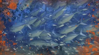 Jack / Bigeye trevally | Deadly 60 Wiki | Fandom