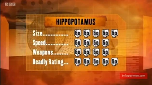 Hippo | Deadly 60 Wiki | Fandom
