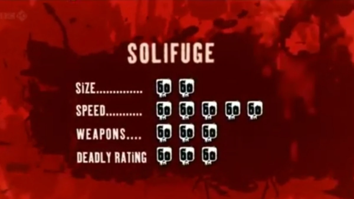 Solifugae | Deadly 60 Wiki | Fandom