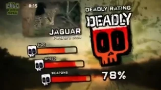 Jaguar | Deadly 60 Wiki | Fandom