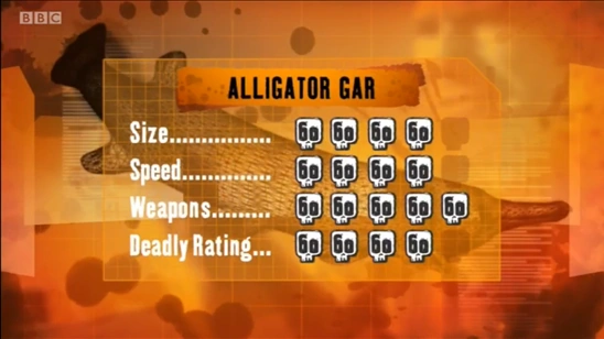 Alligator gar | Deadly 60 Wiki | Fandom