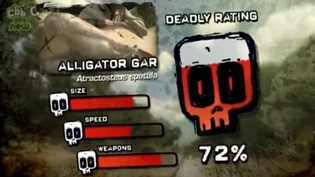 Alligator gar | Deadly 60 Wiki | Fandom