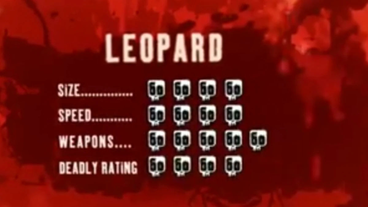 Leopard | Deadly 60 Wiki | Fandom
