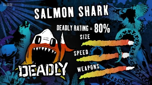 Salmon shark | Deadly 60 Wiki | Fandom