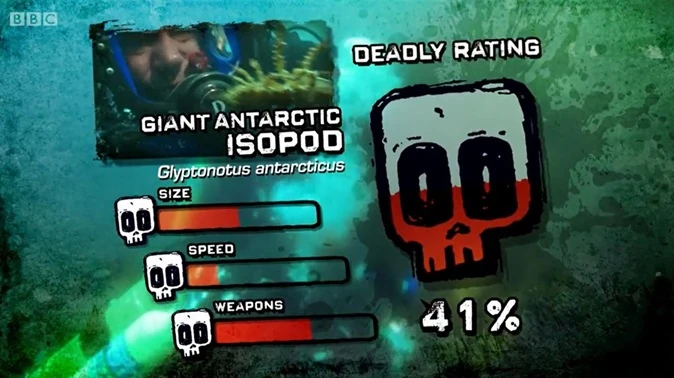 Giant Antarctic Isopod | Deadly 60 Wiki | Fandom