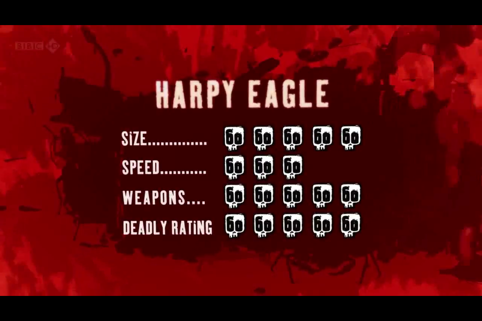 Harpy eagle | Deadly 60 Wiki | Fandom Harpy eagle | Deadly 60 Wiki | Fandom