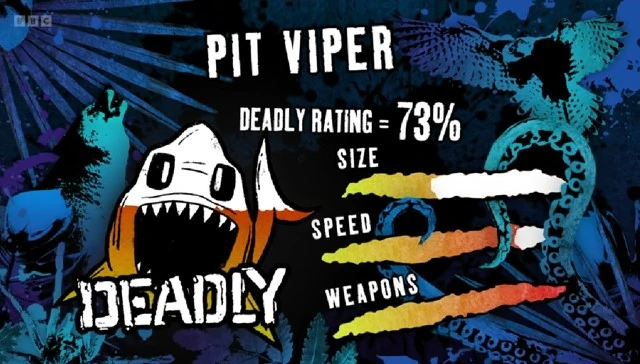 Pit viper | Deadly 60 Wiki | Fandom