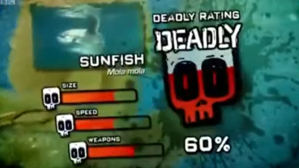 Sunfish | Deadly 60 Wiki | Fandom