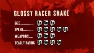 Glossy racer snake | Deadly 60 Wiki | Fandom