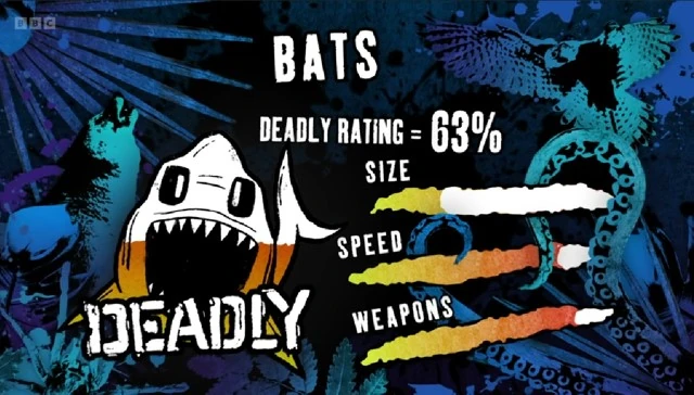 Bats | Deadly 60 Wiki | Fandom