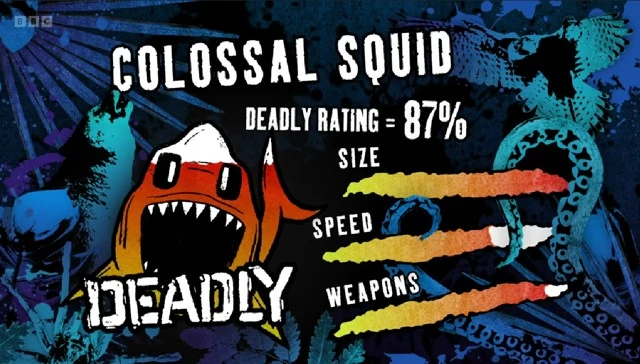 Colossal squid | Deadly 60 Wiki | Fandom
